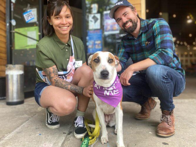 Rural Dog Rescue – Forever true to "the Underdog"